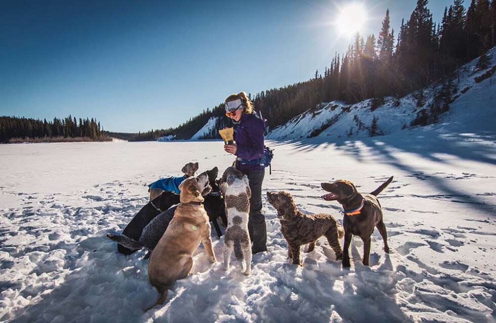 Unleashed and on the move - ParticipACTION